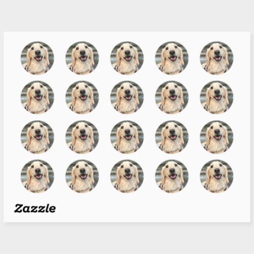 Custom Pet Cute Dog Photo Classic Round Sticker | Zazzle
