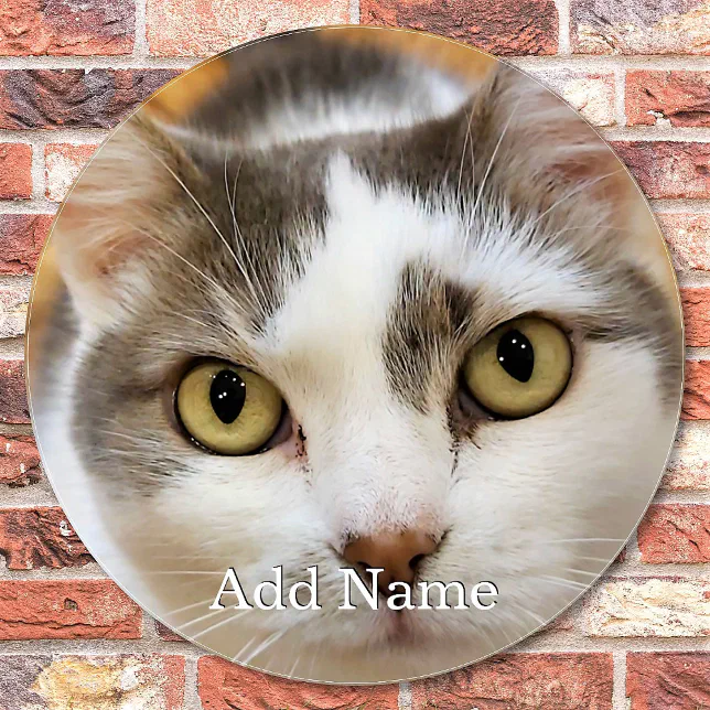 Custom Pet Family Photo Text Personalized Wall Decal | Zazzle
