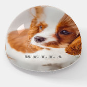 Custom Pet Name Typography and Pet Photo Paperweight | Zazzle
