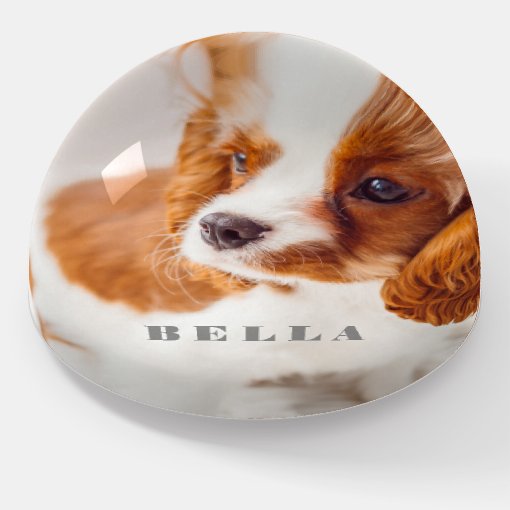 Custom Pet Name Typography and Pet Photo Paperweight | Zazzle