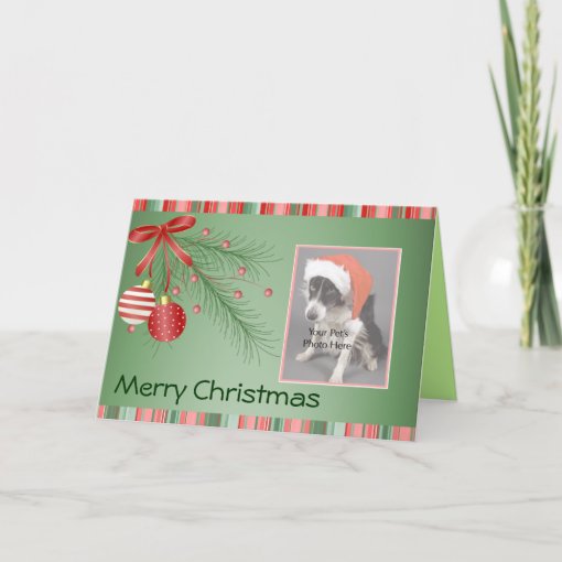 Custom Pet Photo Christmas cards | Zazzle