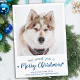Custom Pet Photo Merry Christmas Dog Lover Holiday Card | Zazzle