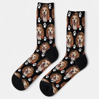 Custom Pet Photo & Paw Prints Black Socks | Zazzle