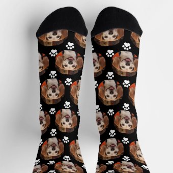 Custom Pet Photo & Paw Prints Black Socks | Zazzle