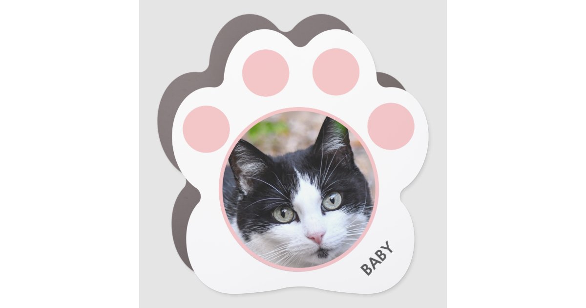 Custom Pet Photo, Tuxedo Cat Car Magnet | Zazzle