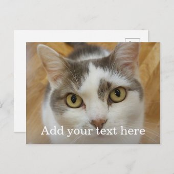 Custom Photo and Name Personalized Postcard | Zazzle