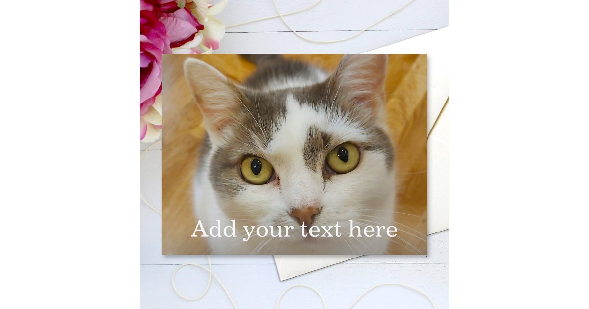 Custom Photo and Name Personalized Postcard | Zazzle