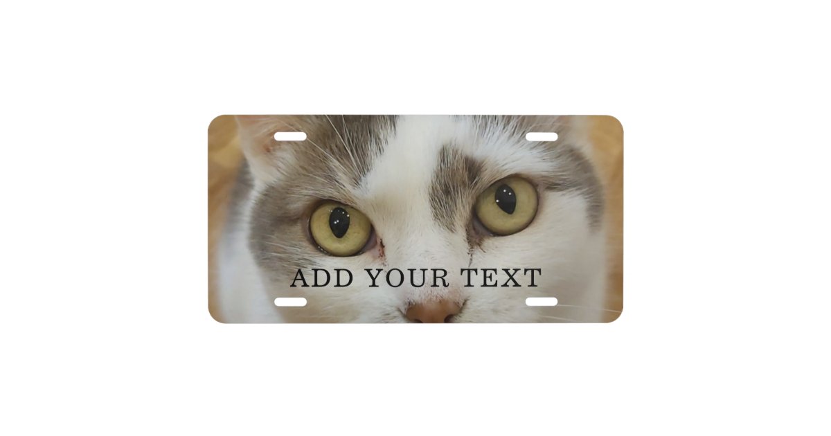 Custom Photo and Text Personalized License Plate | Zazzle.com
