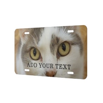 Custom Photo and Text Personalized License Plate | Zazzle