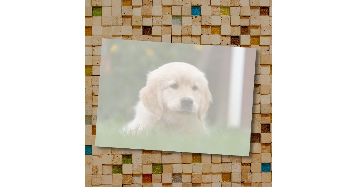 Custom Photo | Auto Convert Your Pic to Light Tone Post-it Notes | Zazzle
