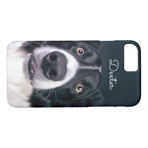 Custom Photo Border Collie Dog Face Case-Mate iPhone Case | Zazzle