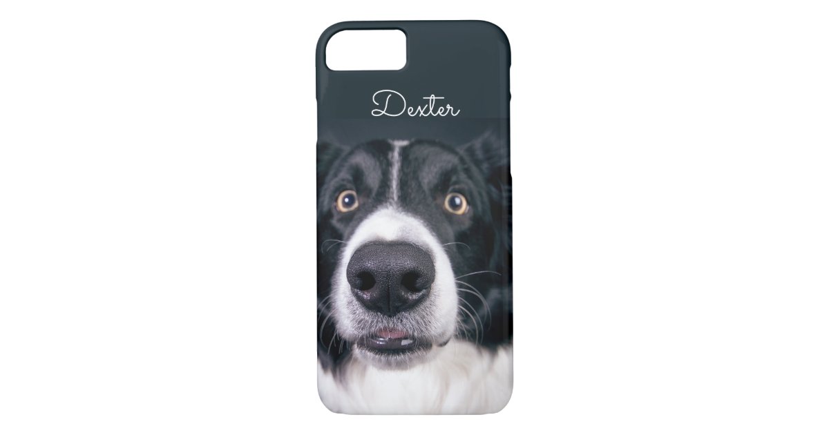 Custom Photo Border Collie Dog Face Case-Mate iPhone Case | Zazzle