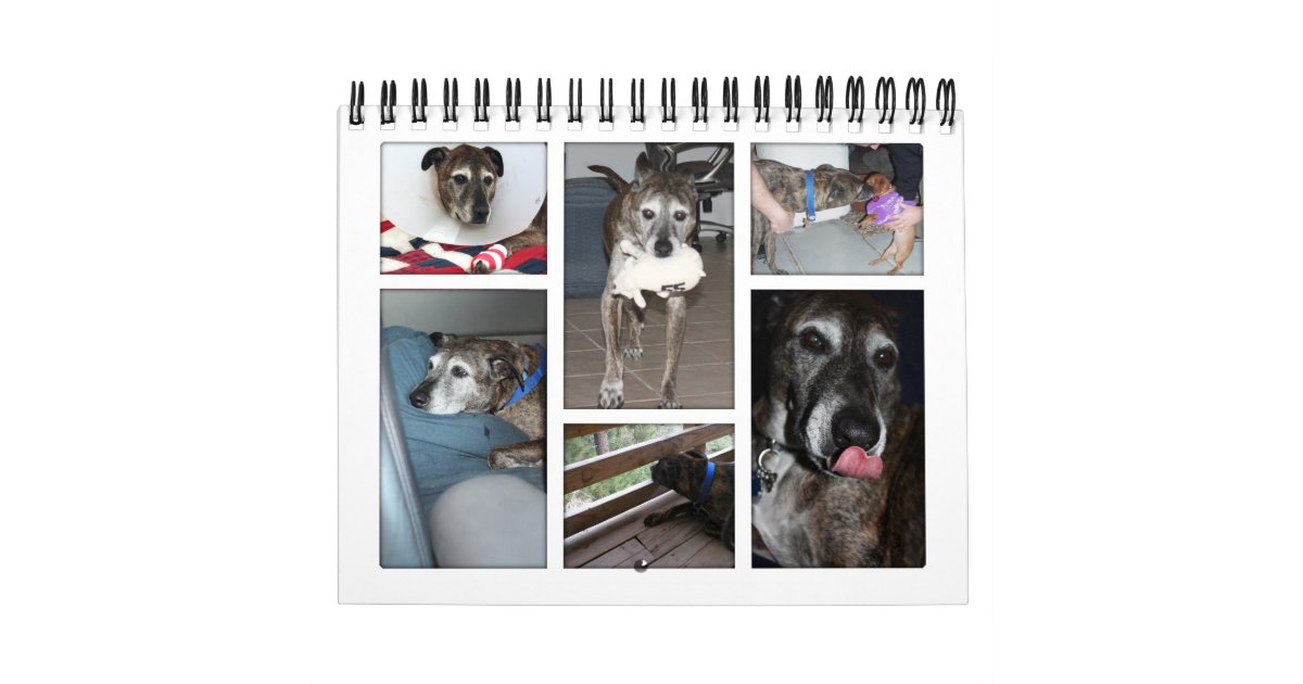 Custom Photo Calendar | Zazzle