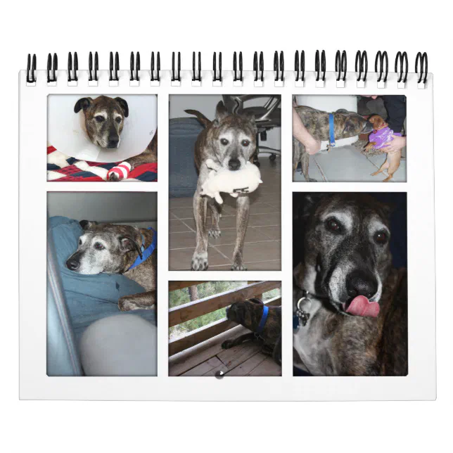 Custom Photo Calendar | Zazzle