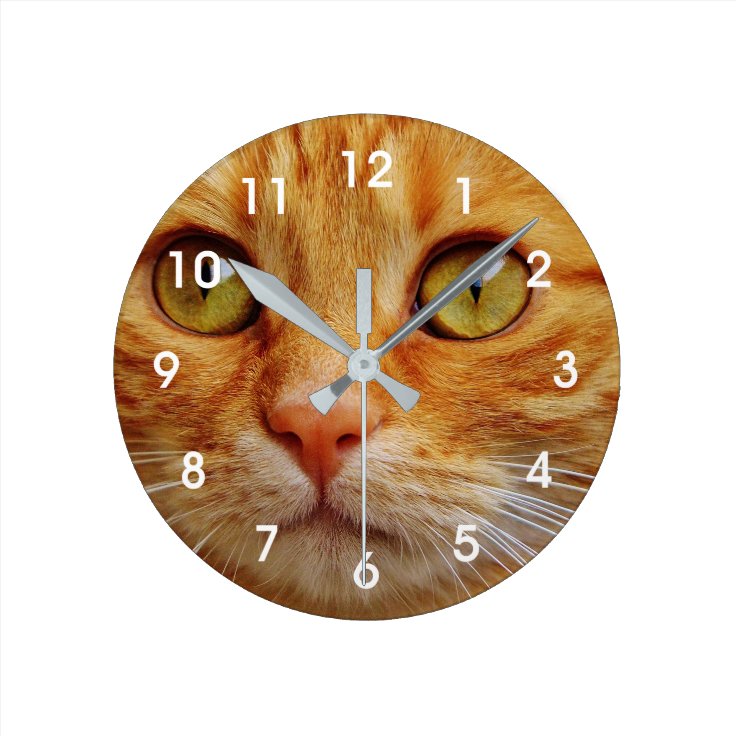 Custom Photo Cat Dog Pet Family Personalized Round Clock | Zazzle
