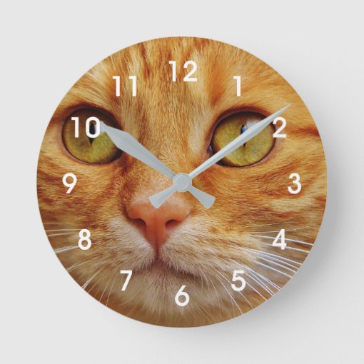 Custom Photo Cat Dog Pet Family Personalized Round Clock | Zazzle