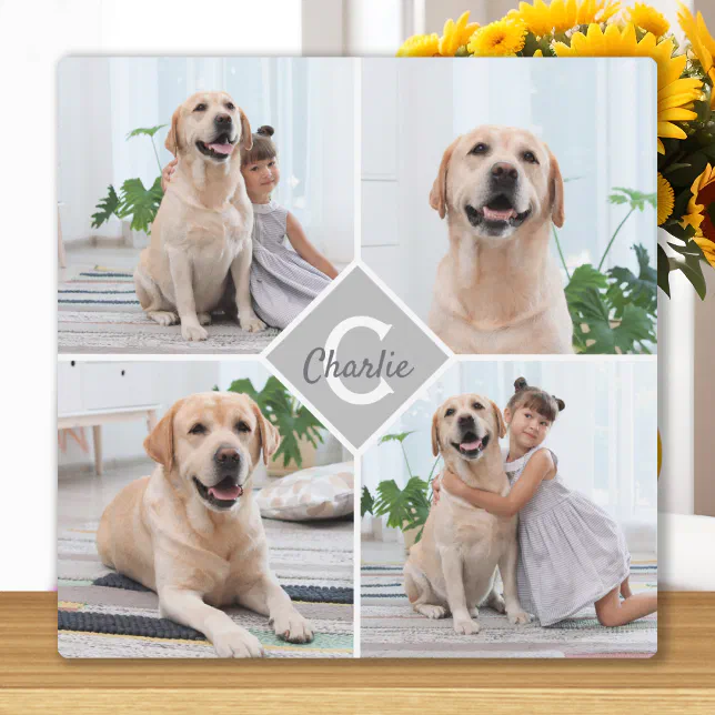 Custom Photo Collage Monogram Name Dog Plaque | Zazzle