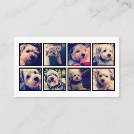 Custom Photo Collage with Square Photos Business Card | Zazzle