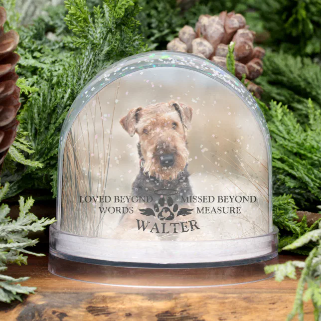 Custom Photo Dog Memorial Loved Beyond Words Snow Globe | Zazzle