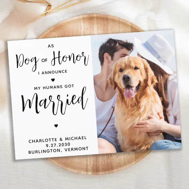 Custom Photo Dog of Honor Dog Wedding Announcement | Zazzle