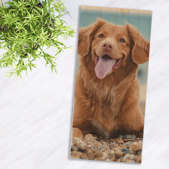 Custom Photo Dog Wood Flash Drive | Zazzle
