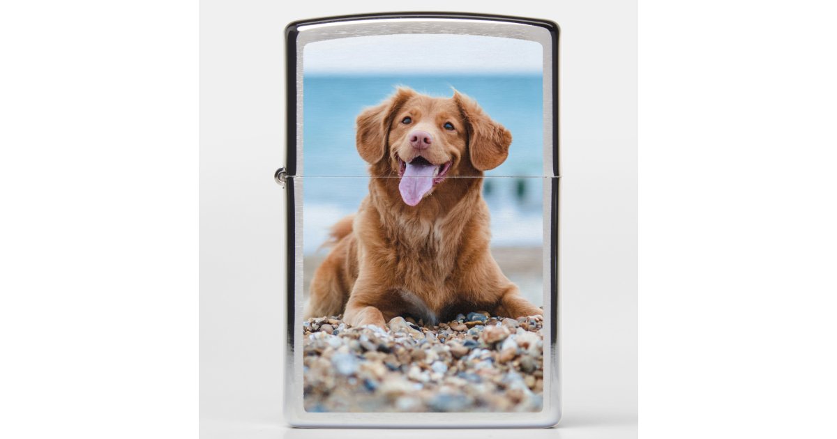 Custom Photo Dog Zippo Lighter | Zazzle
