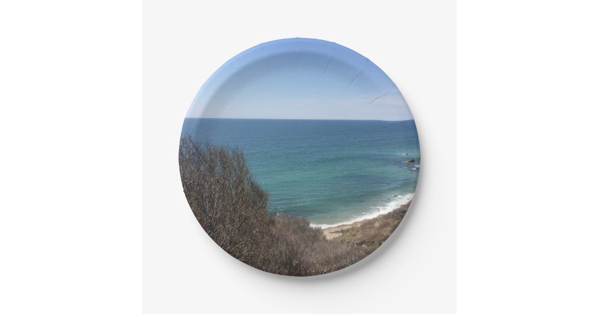 Custom photo image picture personalized paper plates | Zazzle