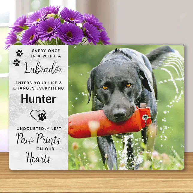 Custom Photo Labrador Retriever Memorial Plaque | Zazzle