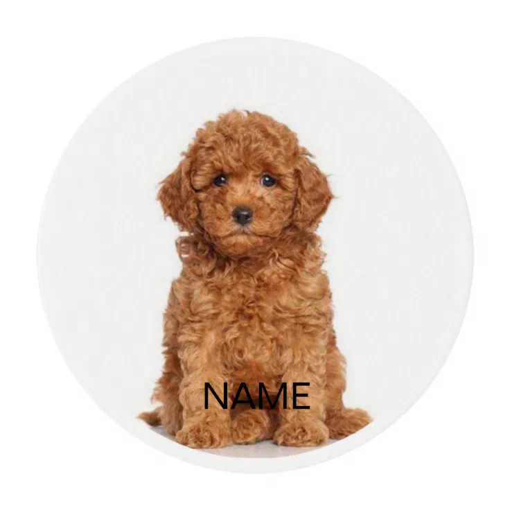 Custom photo name text edible frosting rounds | Zazzle