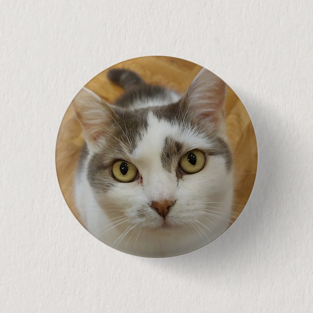 Custom Photo Or Other Image Pinback Button | Zazzle