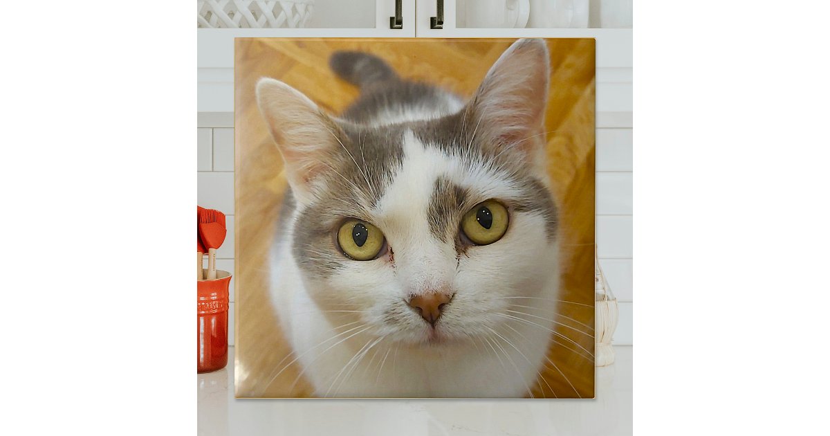 Custom Photo Personalized Ceramic Tile | Zazzle