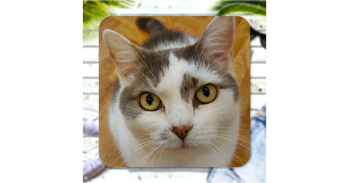 Custom Photo Personalized Patch | Zazzle