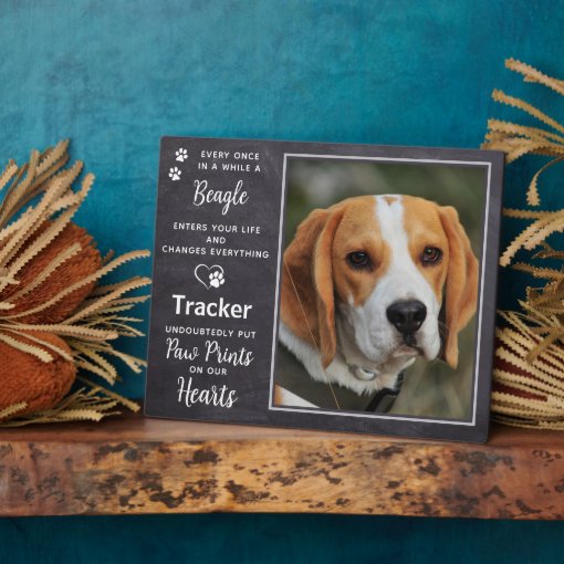 Custom Photo Pet Dog Beagle Memorial Plaque | Zazzle