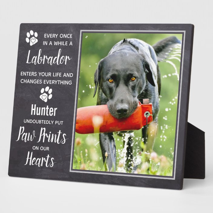 Custom Photo Pet Dog Labrador Memorial Plaque | Zazzle.com