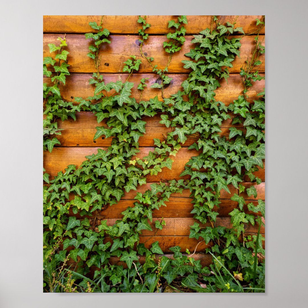 Custom Photo Rustic Ivy on Log Cabin Wall Portrait Poster | Zazzle