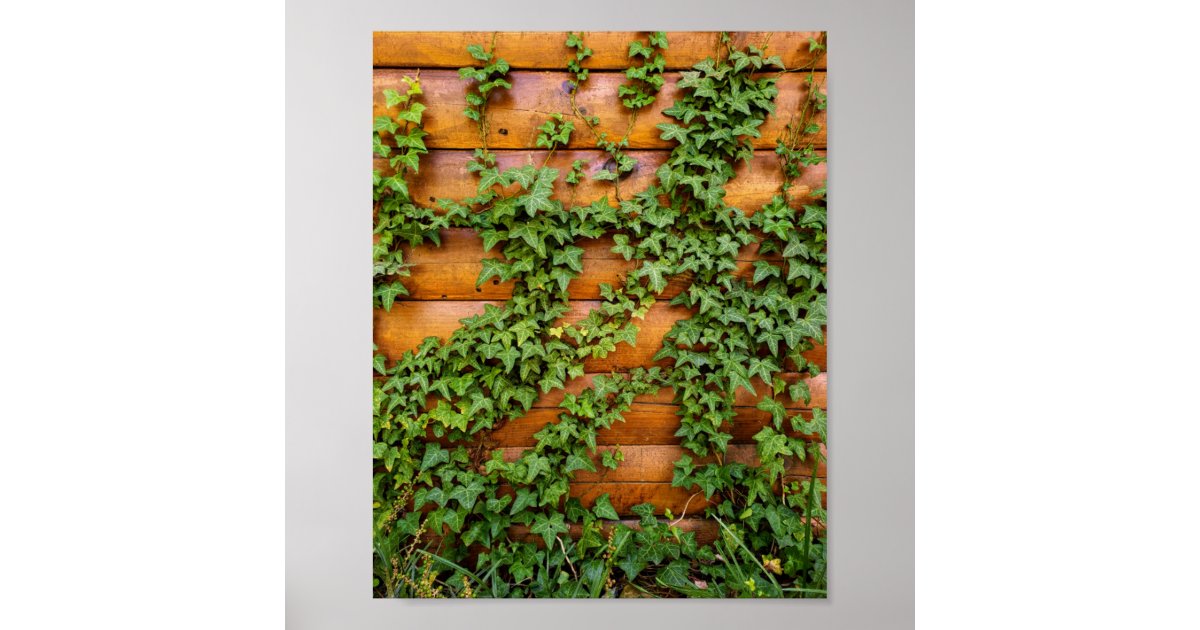 Custom Photo Rustic Ivy on Log Cabin Wall Portrait Poster | Zazzle