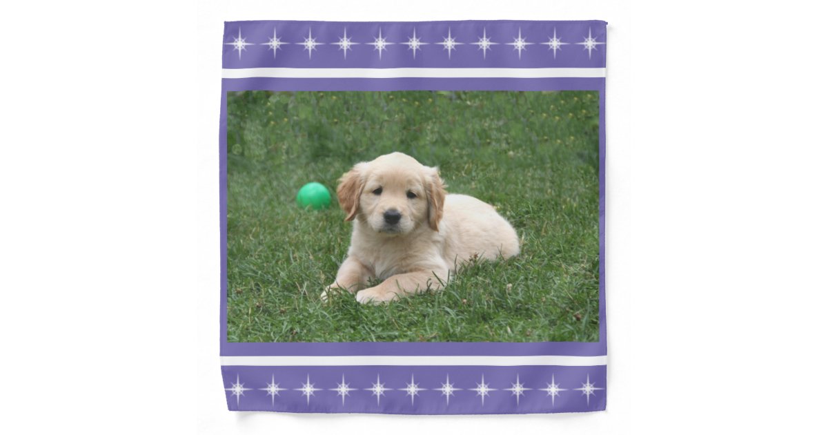 Custom Photo & Stars on Periwinkle Bandana | Zazzle