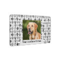 Custom Photo Template Pet Paws Dog Cat License Plate | Zazzle