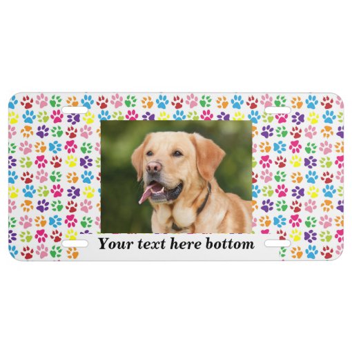 Custom Photo Template Pet Paws Dog Cat Rainbow License Plate | Zazzle