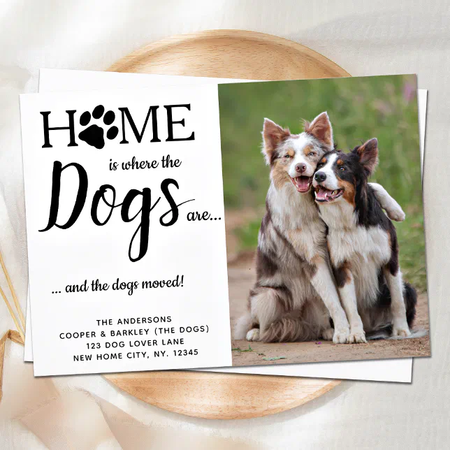 Custom Photo We've Moved Dogs Pet Moving Announcement | Zazzle