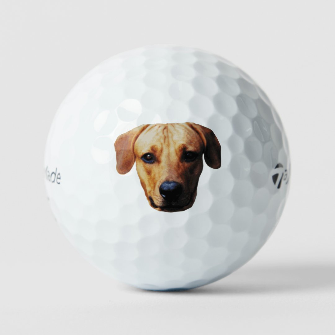 Custom Picture Golf Balls With Dog Face | Zazzle