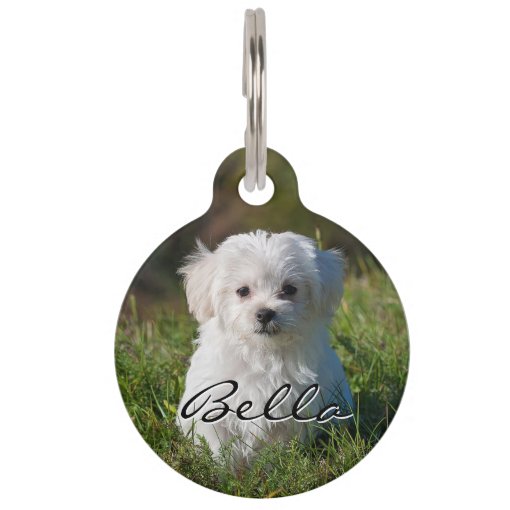 Custom Puppy Dog Personalized Photo Name Number Pet ID Tag | Zazzle