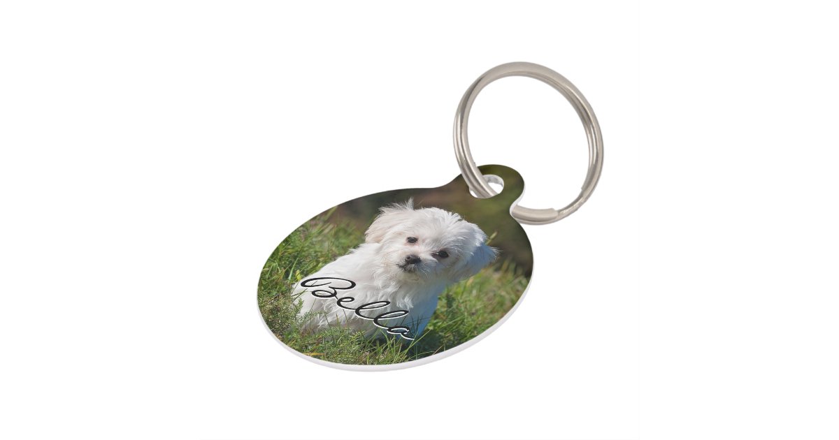 Custom Puppy Dog Personalized Photo Name Number Pet ID Tag | Zazzle