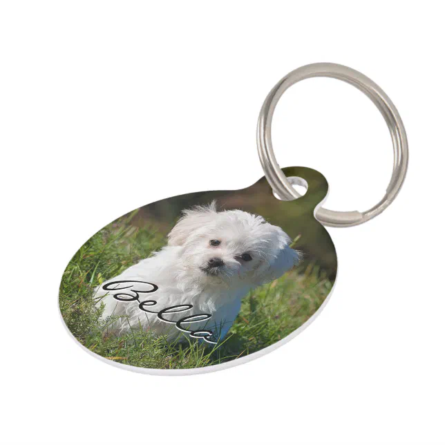 Custom Puppy Dog Personalized Photo Name Number Pet ID Tag | Zazzle