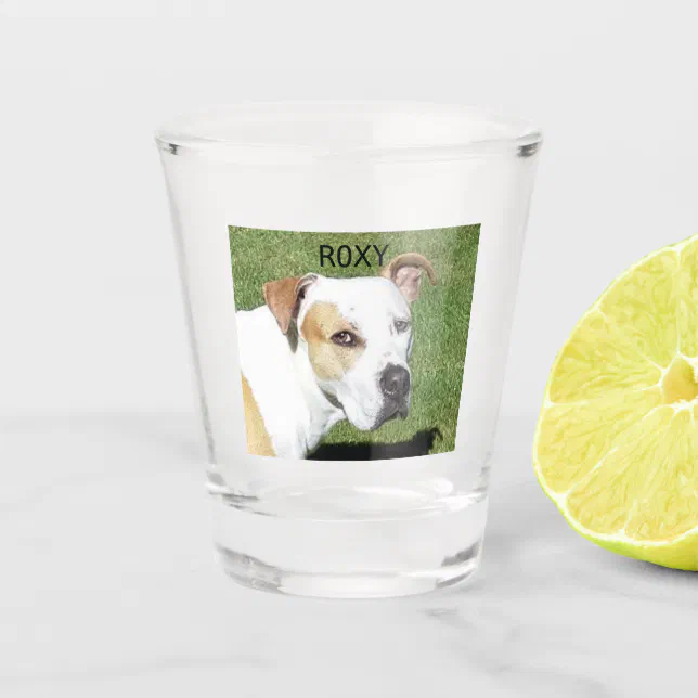 Custom Shot Glass with picture of beloved pet | Zazzle