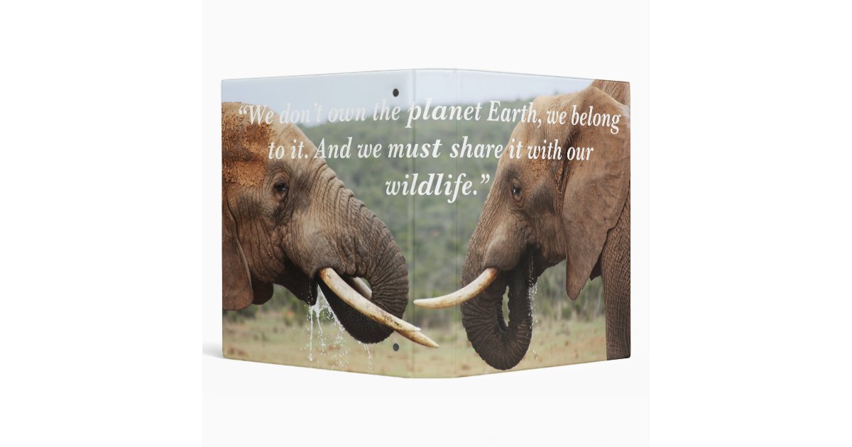Custom Slogan/Conservation Elephant Faces 3 Ring Binder | Zazzle