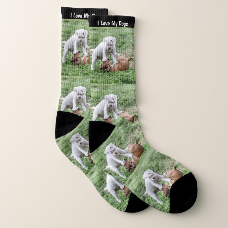 Custom Socks With Dog Pictures - Photo Dog | Zazzle