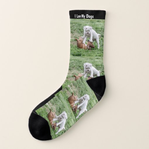 Custom Socks With Dog Pictures - Photo Dog | Zazzle