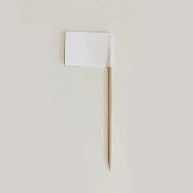 Custom Special Event Birch Toothpick Flag | Zazzle