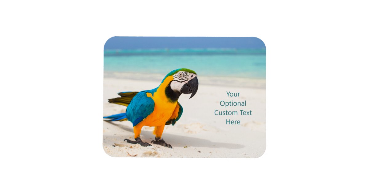 Custom text Beach Parrot Magnet | Zazzle
